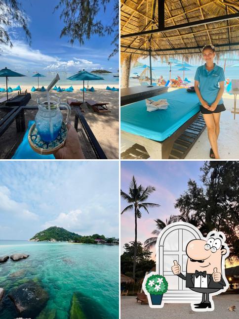Pure Beach Club Samui, Ko Samui - Restaurant menu and reviews