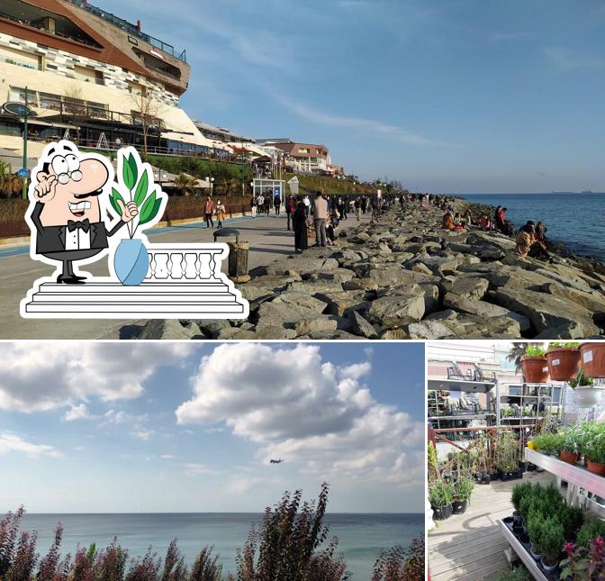 Florya Sahil, Istanbul - Restaurant reviews