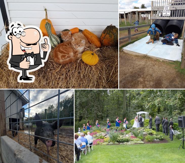 Post Family Farm in Georgetown Township - Restaurant reviews