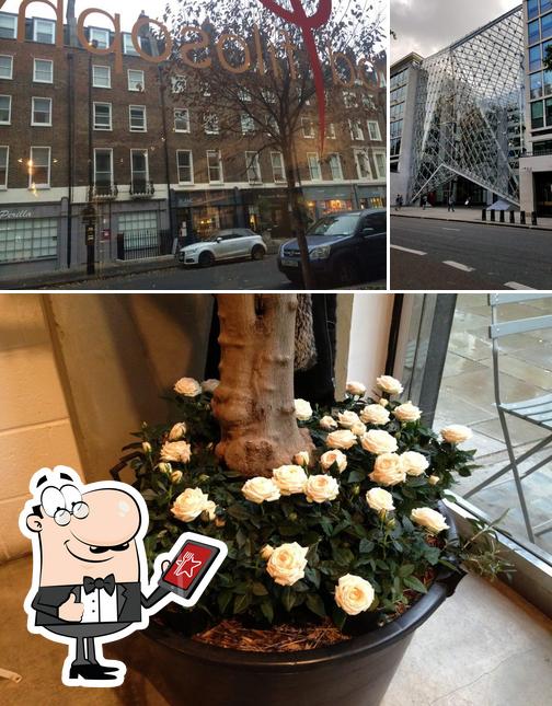 Food Filosophy, London - Restaurant menu, prices and reviews
