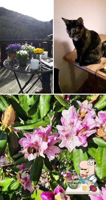 Edith Fink restaurant, Hirschhorn (Neckar) - Restaurantbewertungen