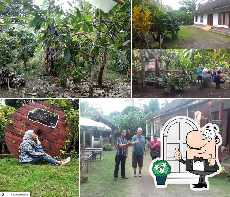 Gubuk Coklat Merapi cafe, Donokerto - Restaurant reviews