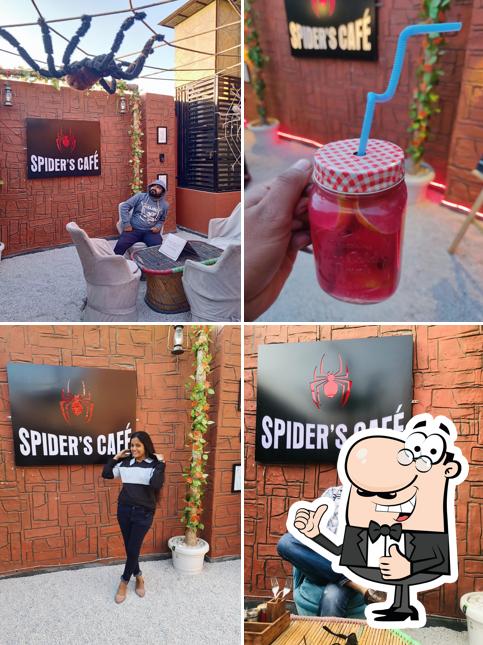 Spider's cafe, Jaipur - Restaurant reviews