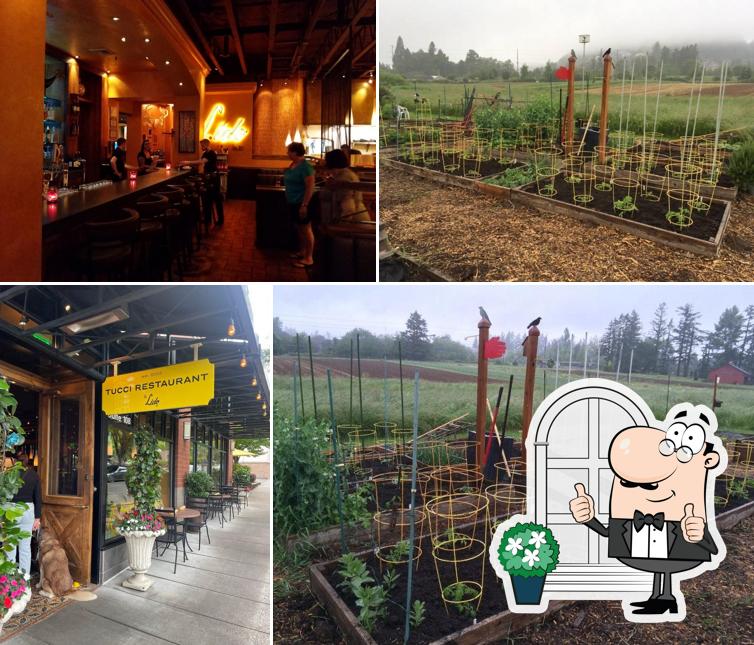 Tucci Restaurant, Lake Oswego - Restaurant menu, prices and reviews