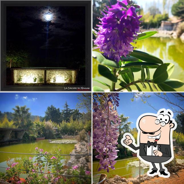 La Cascade de Moussan restaurant, Moussan - Restaurant reviews