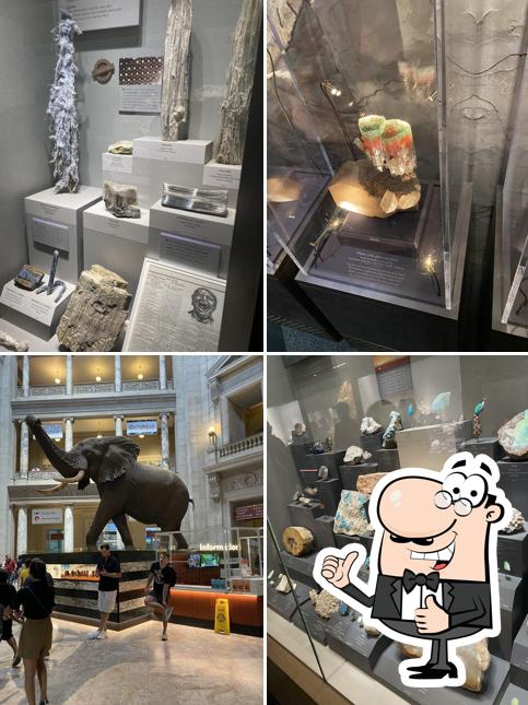 National Museum Of Natural History Cafe, Washington D. C. - Opiniones ...
