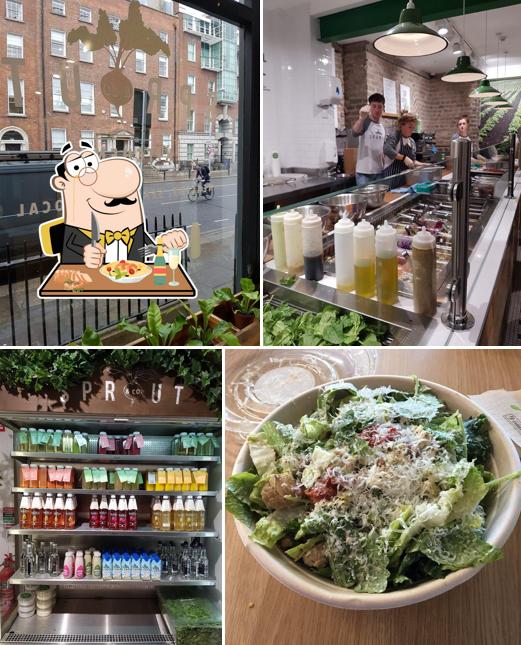 Sprout & Co, Dublin - Restaurant menu, prices and reviews