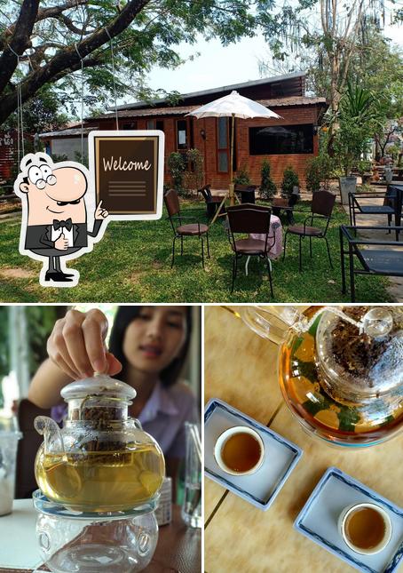 Rain Tree Cafe, At Samat - Restaurant reviews