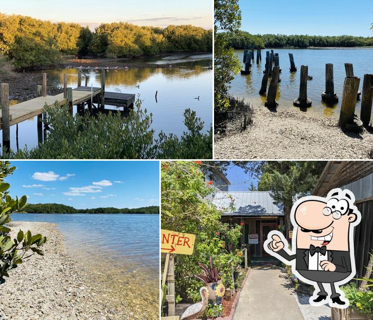 Top 5 restaurants in Cedar Key, october 2025 - Restaurant Guru