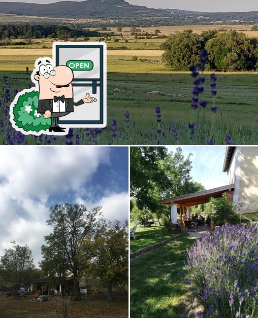 Levendula Porta restaurant, Kékkút - Restaurant reviews
