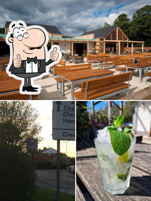Pointing Dog, Cheadle - Restaurant menu, prices and reviews