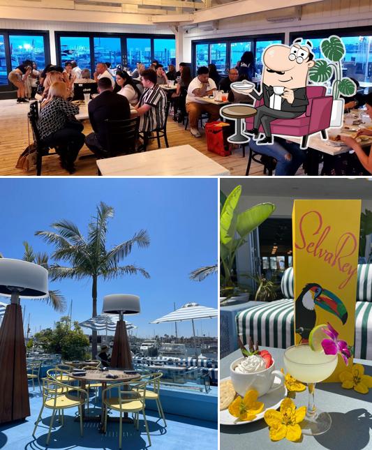 SALT, Merrick - Restaurant menu, prices and reviews