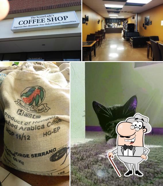 The SconeLady's Coffee Shop, Lawrence - Restaurant menu, prices and reviews