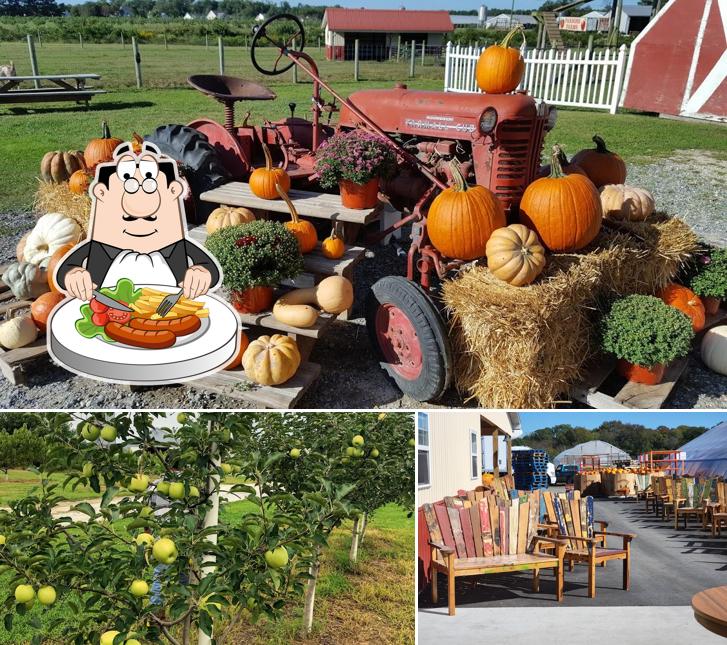 Parsons Farms Produce, Dagsboro - Restaurant menu, prices and reviews