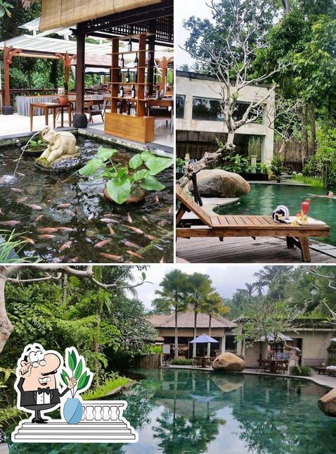 Bukit Cinta Restaurant & 187 Lounge Bar - The Lokha Ubud Resort, Villas ...