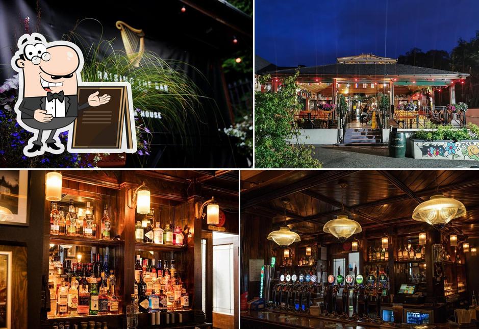 The Tolka House, Dublin - Restaurant menu, prices and reviews