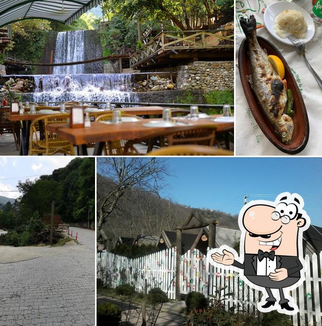 Patika Maşukiye, Turkey - Restaurant reviews