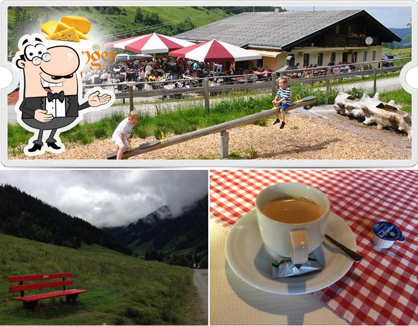 Alpengasthof Schönanger Alm restaurant, Österreich - Restaurant reviews