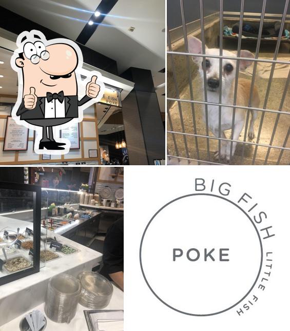 Big Fish Little Fish in Los Angeles - Restaurant menu and reviews