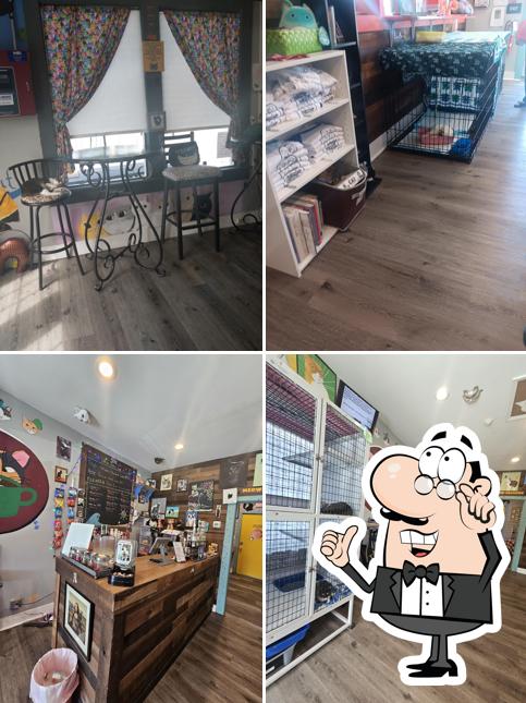 Caffeinated Cat in Jacksonville Beach - Restaurant menu and reviews