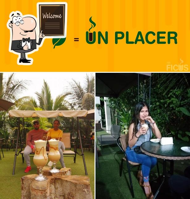 Los Ficus / Café & Snack, Kimbiri - Restaurant reviews