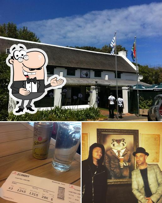 The Toad, Cape Town - Restaurant menu, prices and reviews