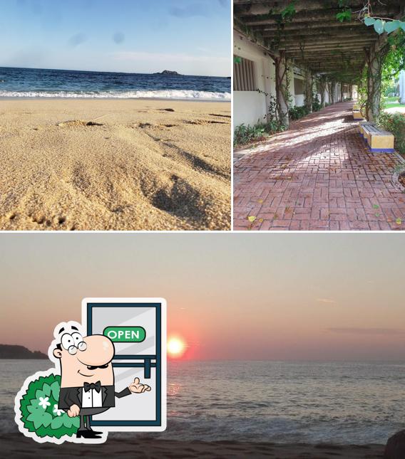 Hotel Castillo beach club, La Crucecita - Restaurant reviews