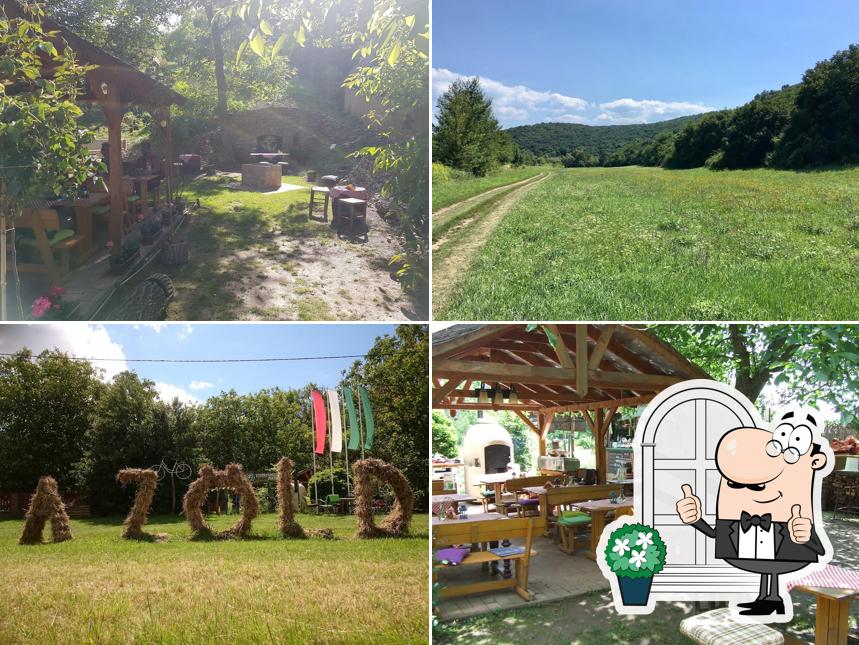 Find the best place to eat in Balatonalmádi, winter 2023 - Restaurant Guru