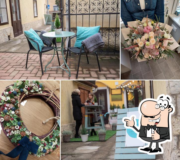 Zacc és Moha cafe, Balatonfüred - Restaurant reviews