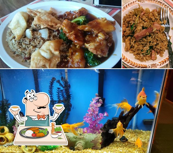 Happy Dragon, Biddeford - Restaurant menu, prices and reviews