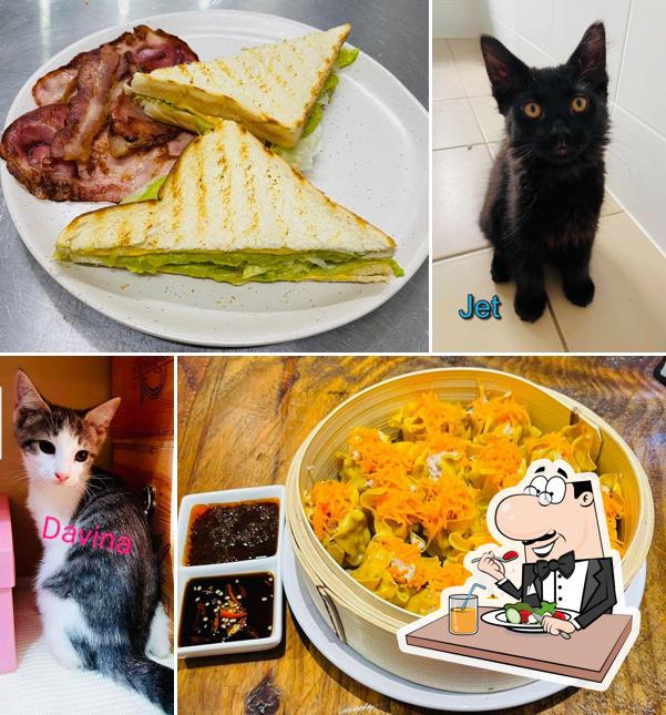 MeowMe Cat Cafe, Parkside - Restaurant menu, prices and reviews