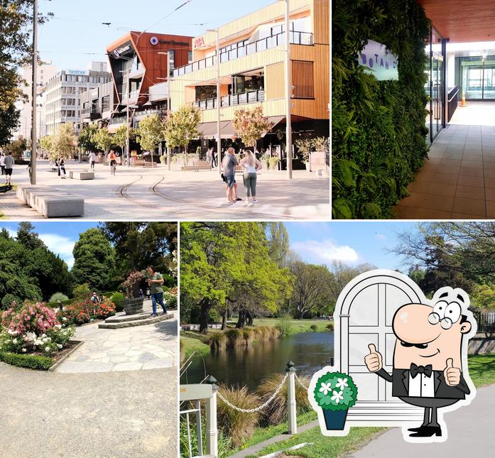 Botanic Christchurch in Christchurch - Restaurant menu and reviews