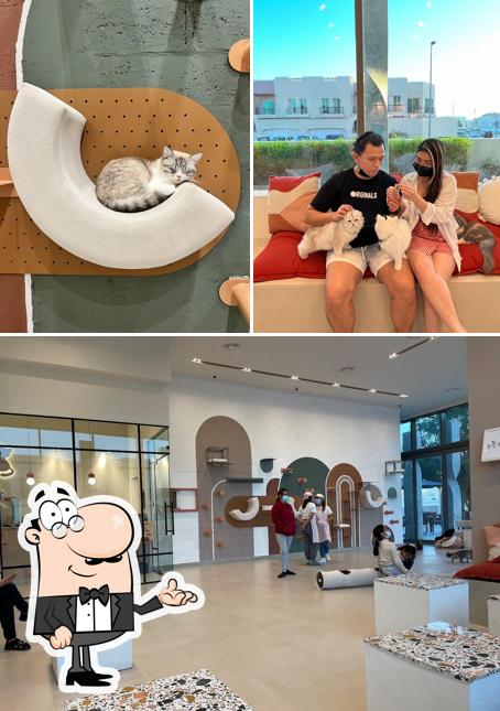 Cat Cafe Vibrissae - Mirdif 35, Dubai - Restaurant menu, prices and reviews