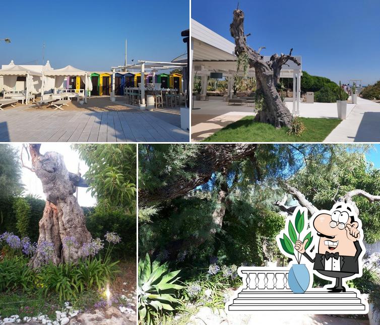 Sabbiadoro Beach & Restaurant - Spiaggia a Capitolo Monopoli, Capitolo ...