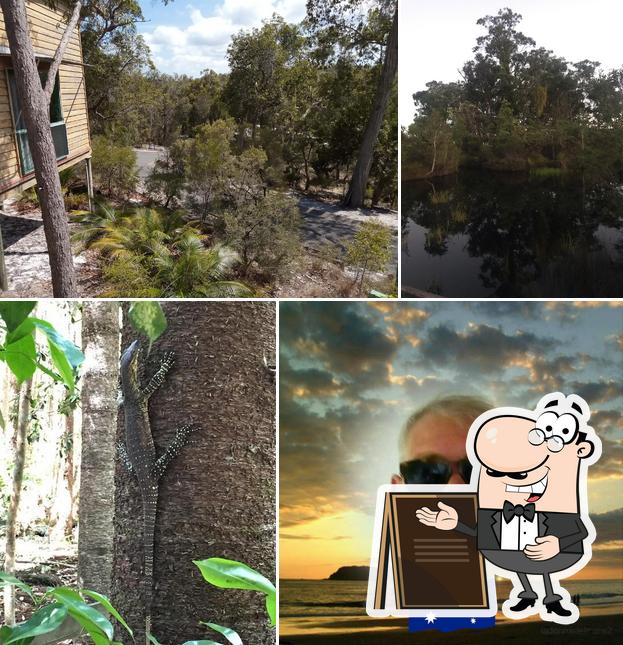 Dingo Bar, Fraser Island - Restaurant menu, prices and reviews