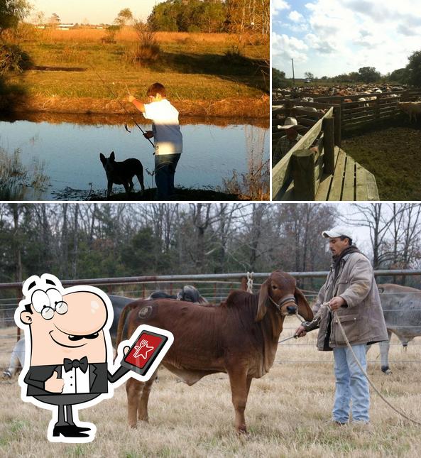 Broken Spur Ranch in Angleton - Restaurant reviews