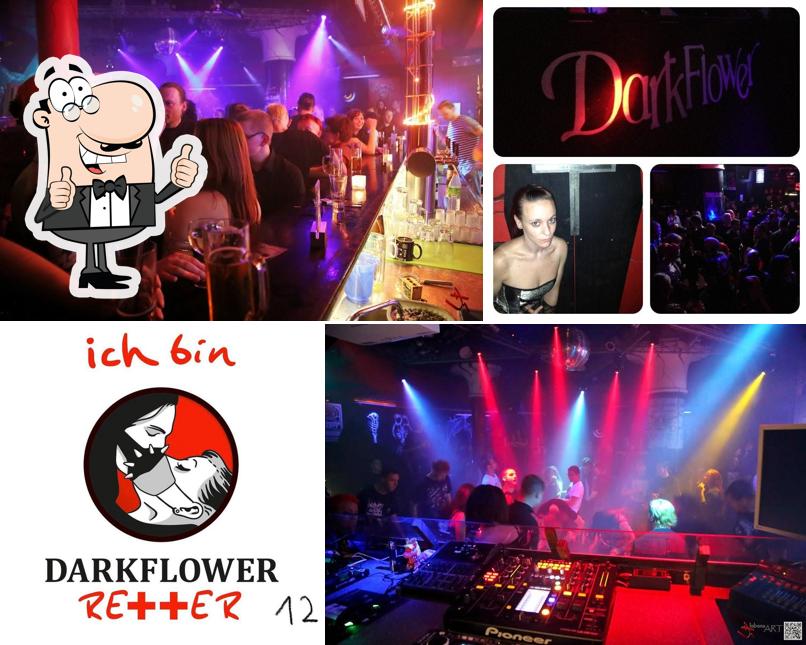 Darkflower GmbH - Leipzig club, Leipzig - Restaurant reviews