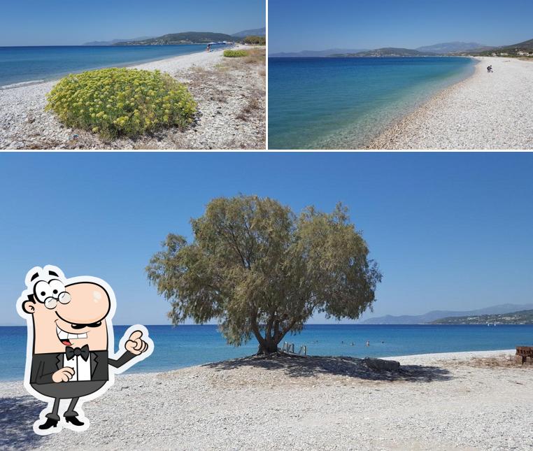 Taverna Mirto, Greece, Mikalis - Restaurant reviews
