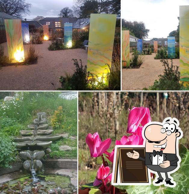Blackthorn Trust Café, Maidstone - Restaurant menu, prices and reviews