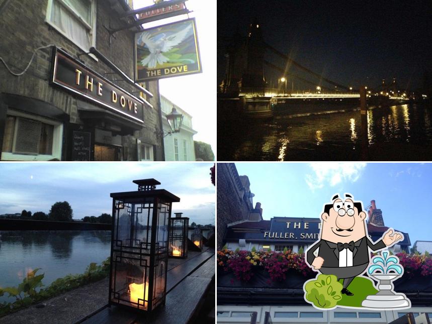 The Dove, Hammersmith, 19 Upper Mall in London - Restaurant menu and ...