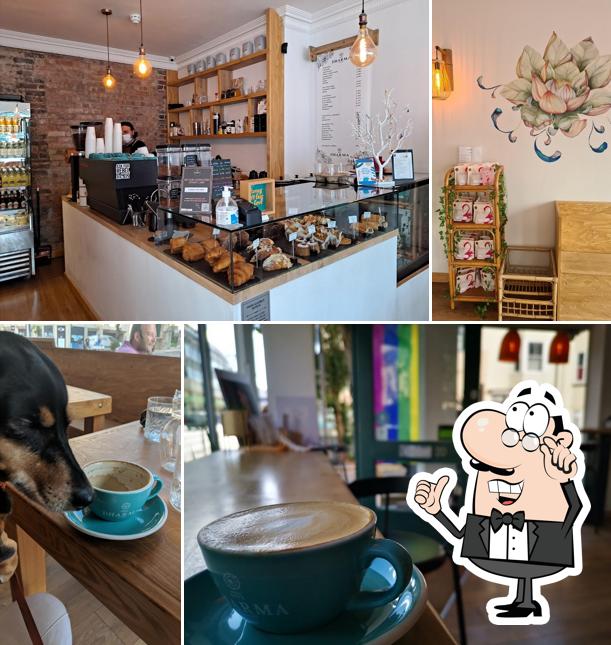 Dharma Coffee Hove in Hove - Restaurant reviews