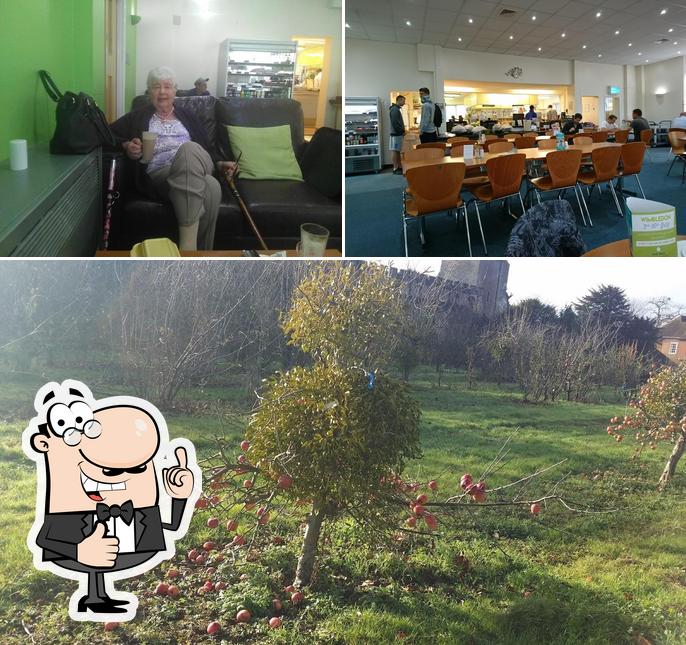 The Orchards Cafe in East Malling - Restaurant reviews