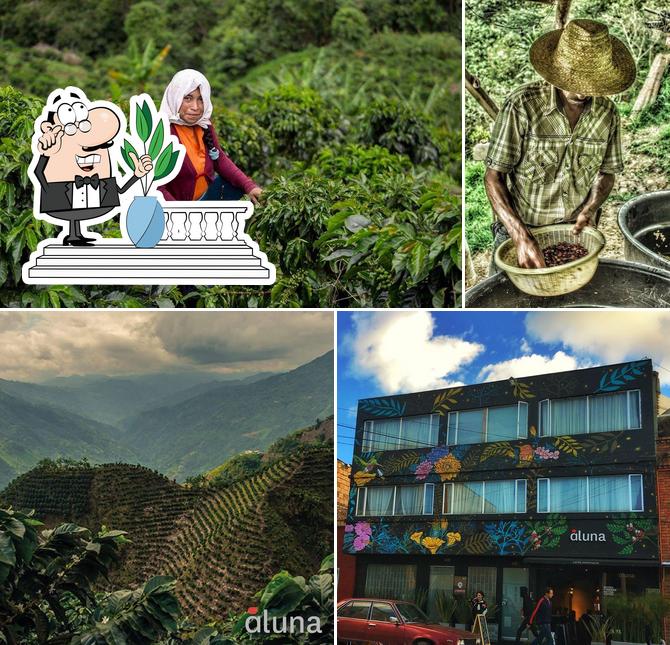Aluna Cafe, Bogotá - Restaurant reviews