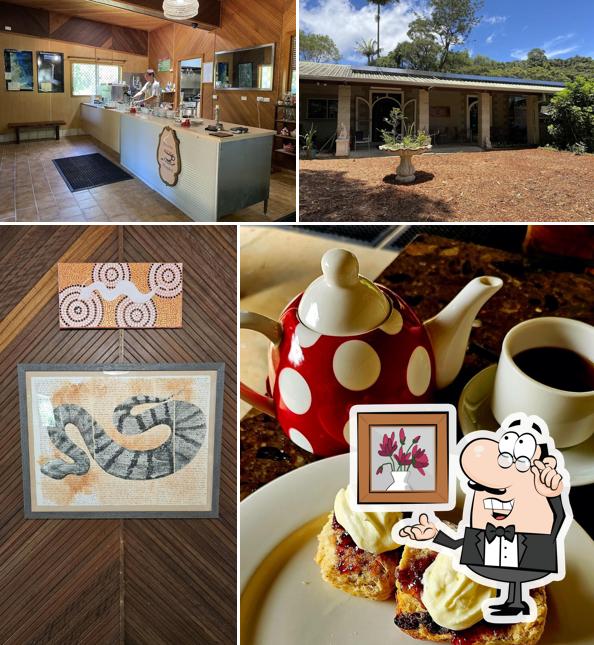 Best cafes in Paluma, summer 2024 - Restaurant Guru