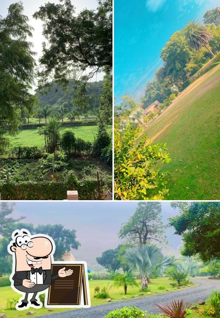 Tikli Bottom, India - Restaurant reviews