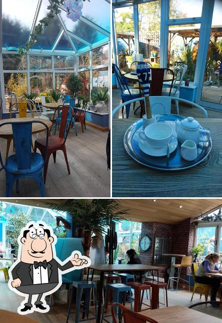 China Blue in Totnes - Restaurant reviews