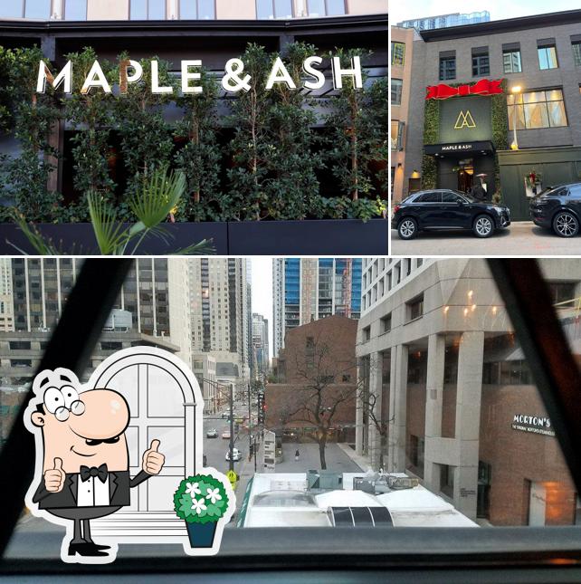 Maple & Ash, Chicago, Clark/Division - Restaurant menu, prices and reviews