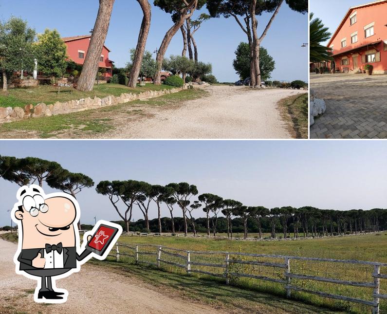 il Casale di Giulia restaurant, Rome - Restaurant reviews