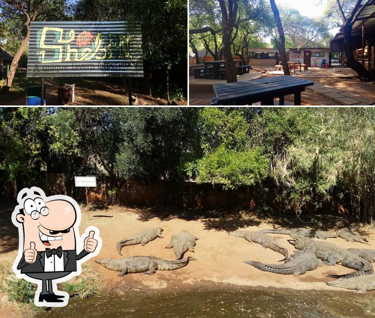Bosveld Shebeen restaurant, Sun City - Restaurant menu and reviews