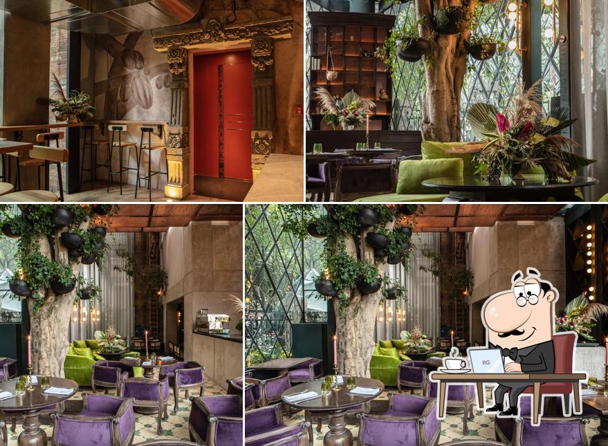 Los mejores restaurantes mexicanos en Ciudad de México, invierno 2024 ...